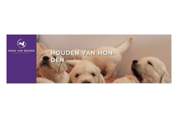 Raad van Beheer - Hexapole - IT & Automatisering